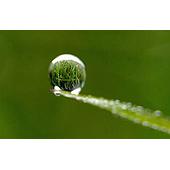 What are the ways to determine the dew point temperature of compressed ...